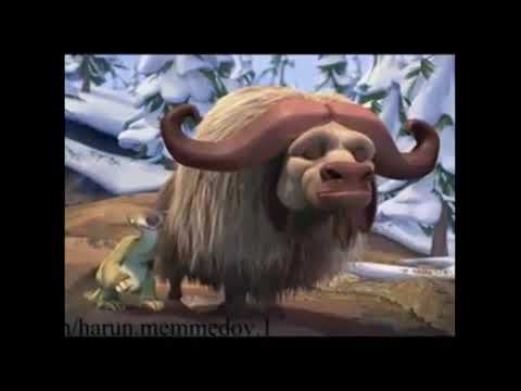 GULMELI VIDEO