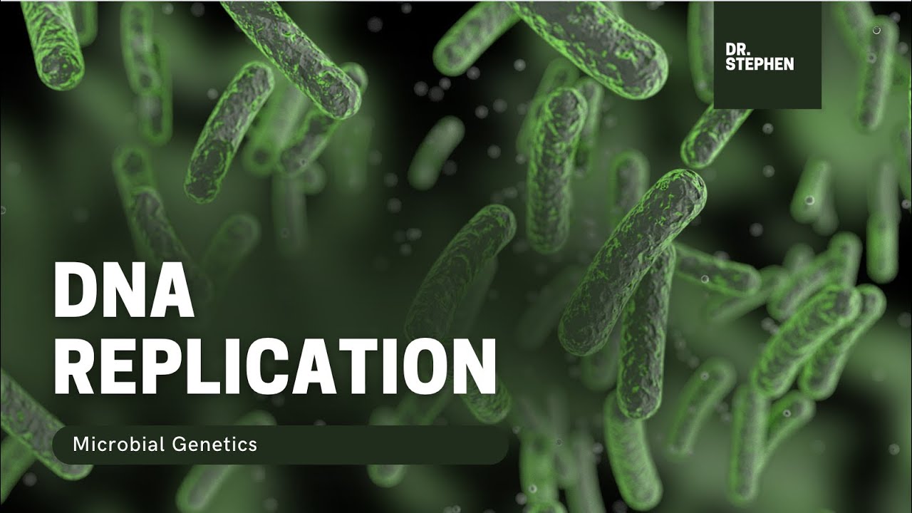MICROBIAL GENETICS | DNA Replication - YouTube