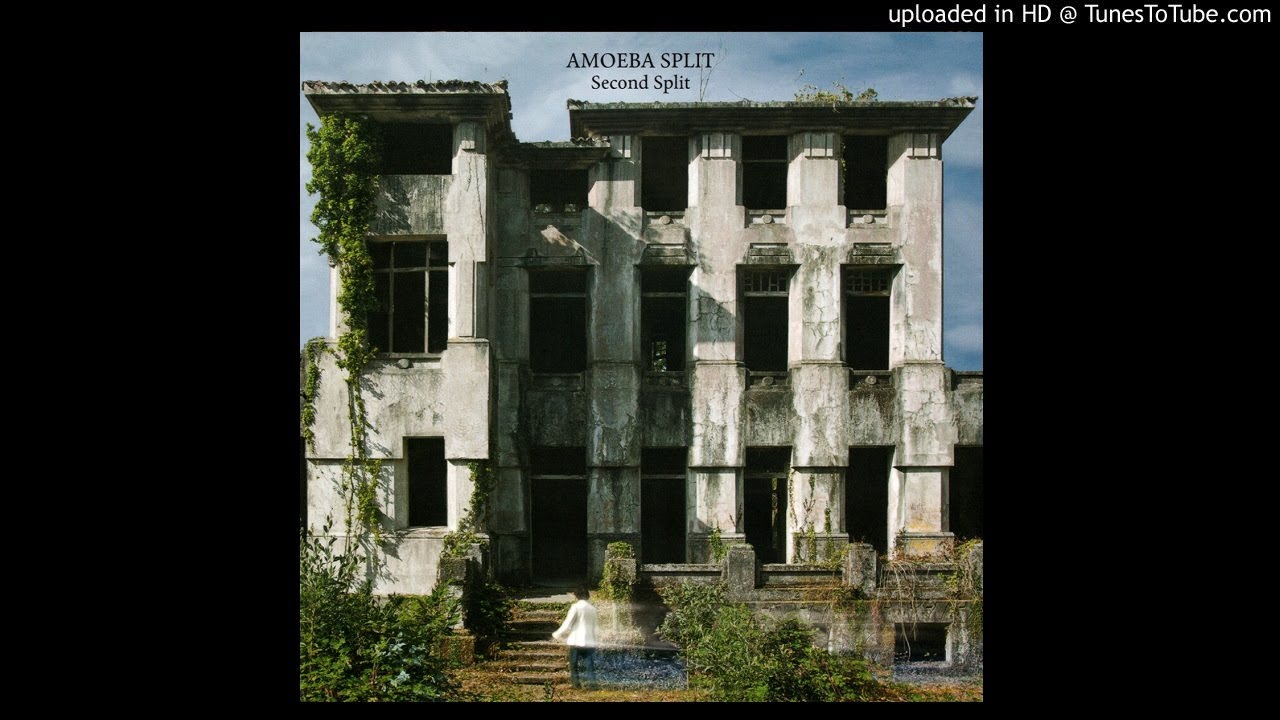 Amoeba Split About Life, Memories And Yesteryears [HQ Audio] Second ...