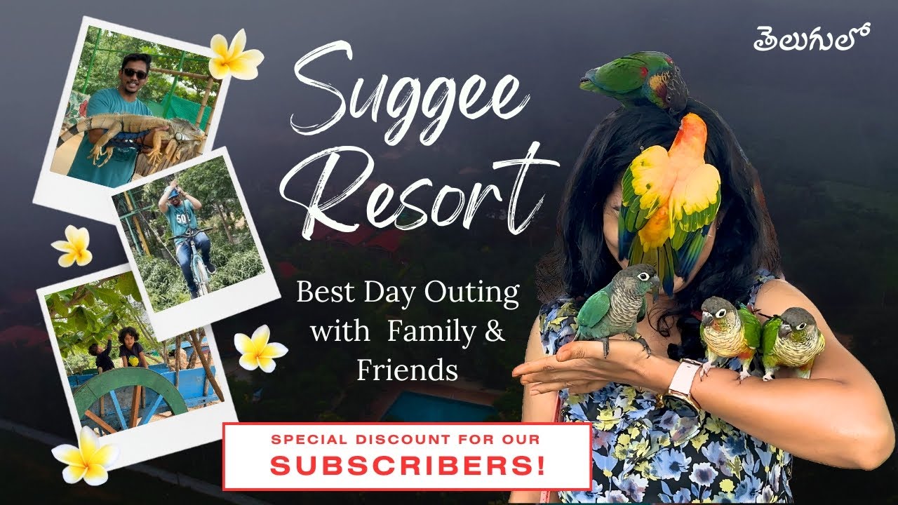 Suggee Resort Bangalore | Adventure Activities | One Day Outing in ...