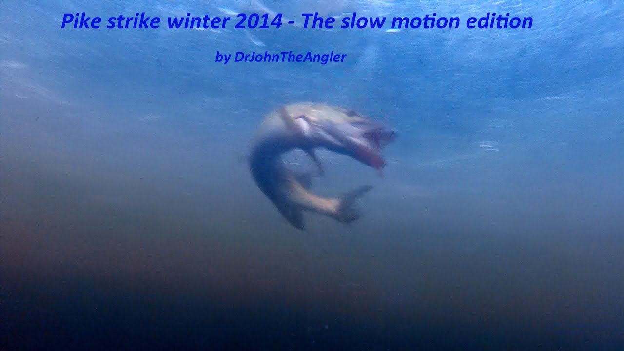 Pike fishing: Pike Strike Winter 2014 - The slow motion edition - YouTube