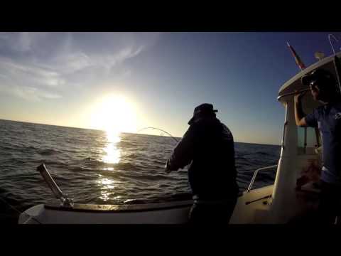 Extreme jigging T-bufon YUKI