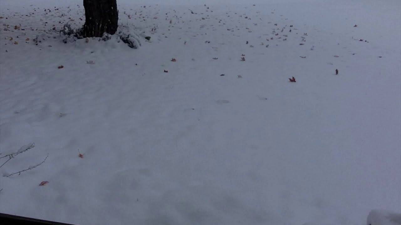 Record Breaking Minnesota Snowfall Timelapse - October 2020 - YouTube