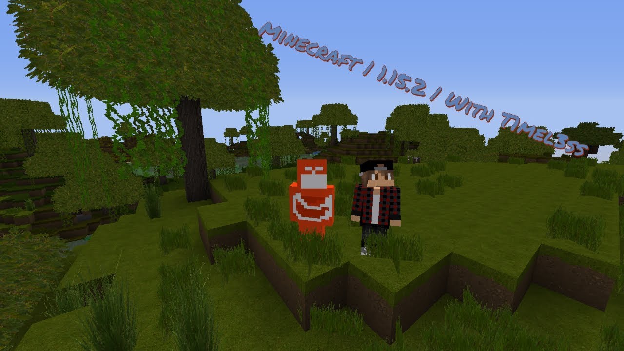 Minecraft | 1.15.2 Survival Gameplay | With T1mel3ss - YouTube