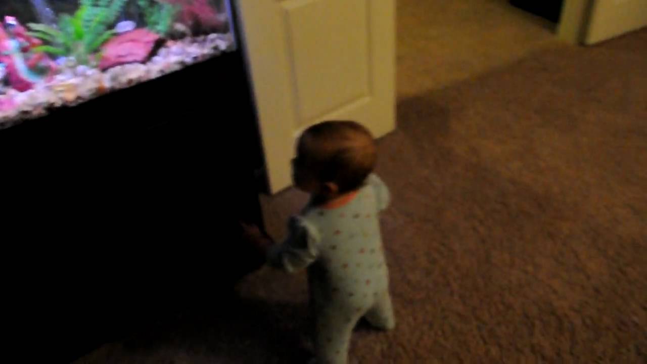 Alexis and the fish tank - YouTube