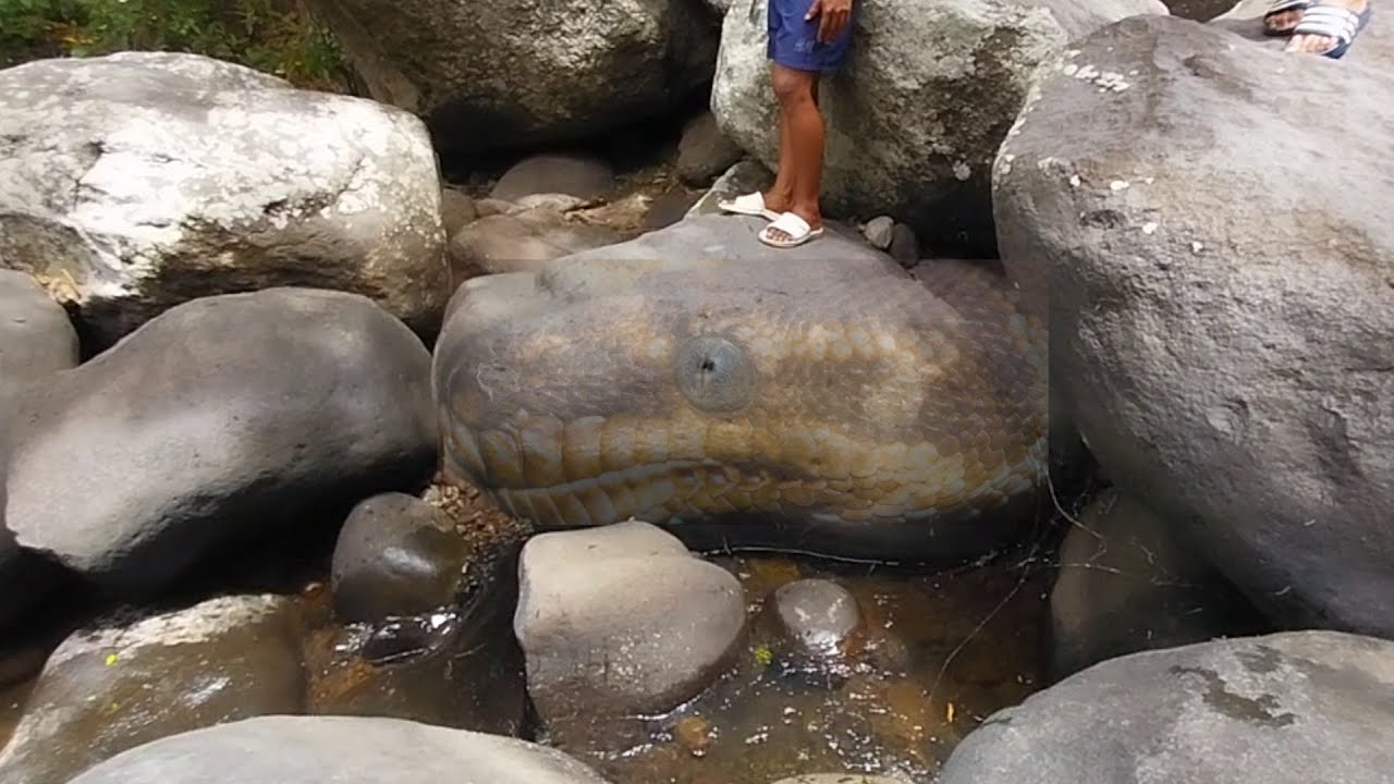 INVESTIGATING TREASURE SIGN SNAKE HEAD? TURTLE MARKERS | PART 2 ...