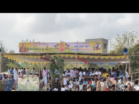 Malaiyur Jallikattu Live 2020 - YouTube