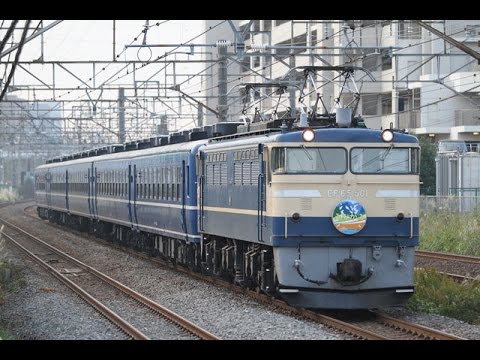 EF65-501+12系 ELみなかみ 横浜～新川崎通過 - YouTube