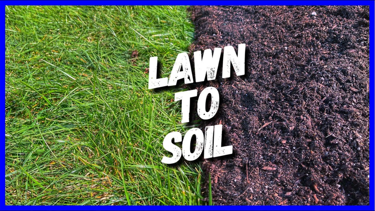 Lawn To Soil Deep Mulch Gardening Cardboard Vegetable Garden YouTube lawn-to-soil-deep-mulch-gardening-cardboard-vegetable-garden-youtube