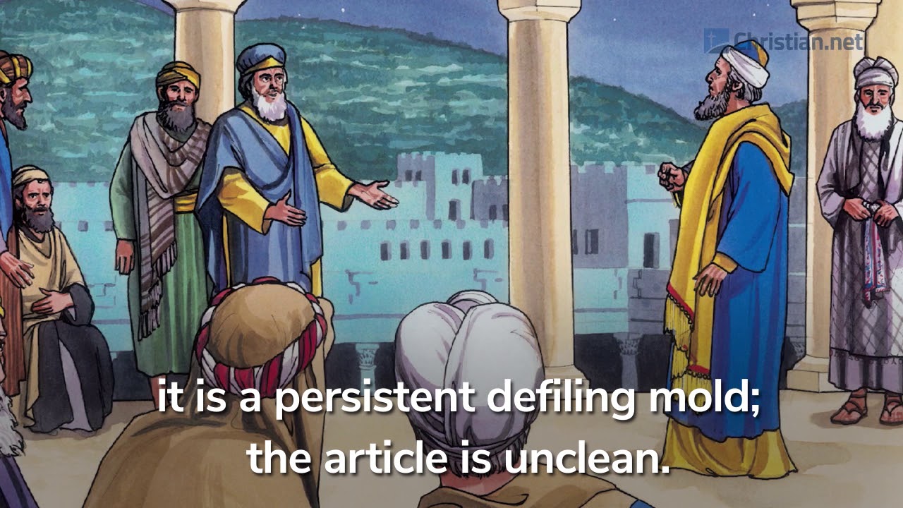 Leviticus 13:47 - 59: Regulations About Defiling Moulds | Bible Stories ...