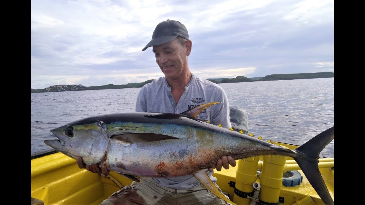 Great day, tunas over 20 kg, wahoos and a calm sea. www.Curacaofishing ...