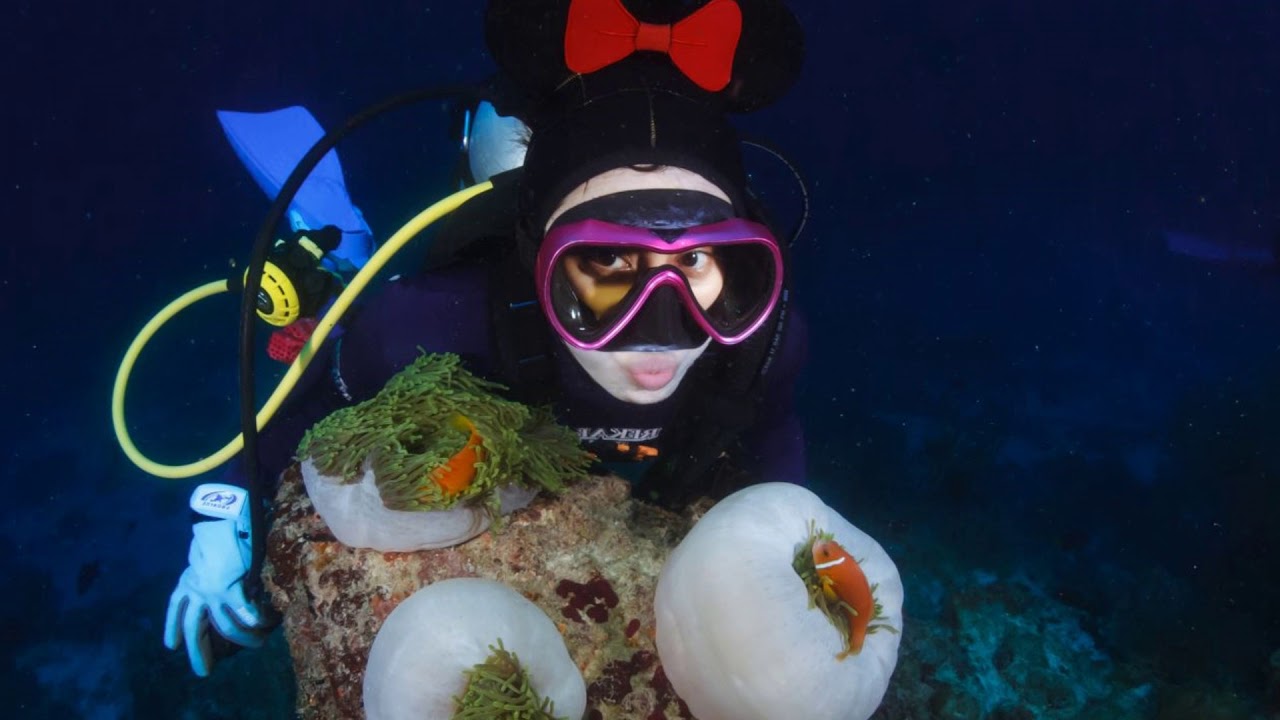 Maldives Diving 2017 Crazy Diver Taiwan - YouTube