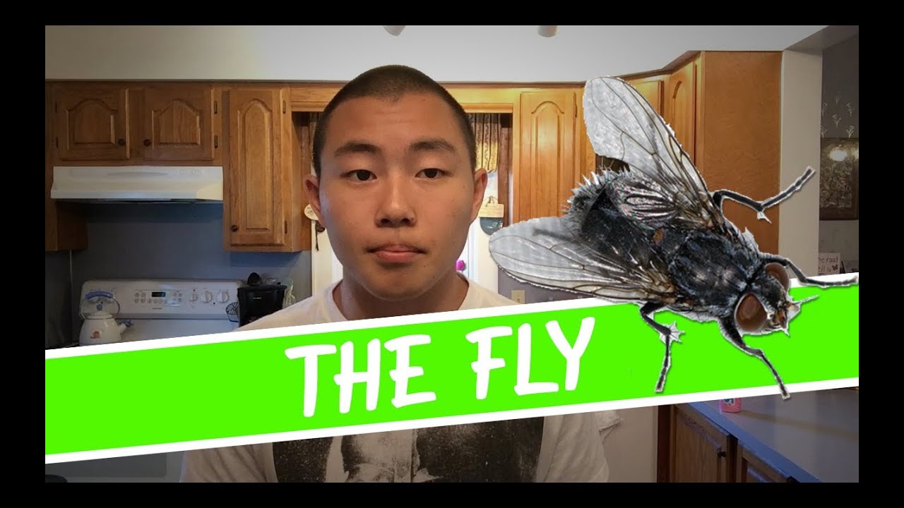 The Fly - YouTube