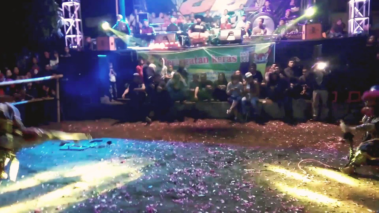 REOG SALEHO JARANAN TERBARU!! CAKILE LUCU - YouTube