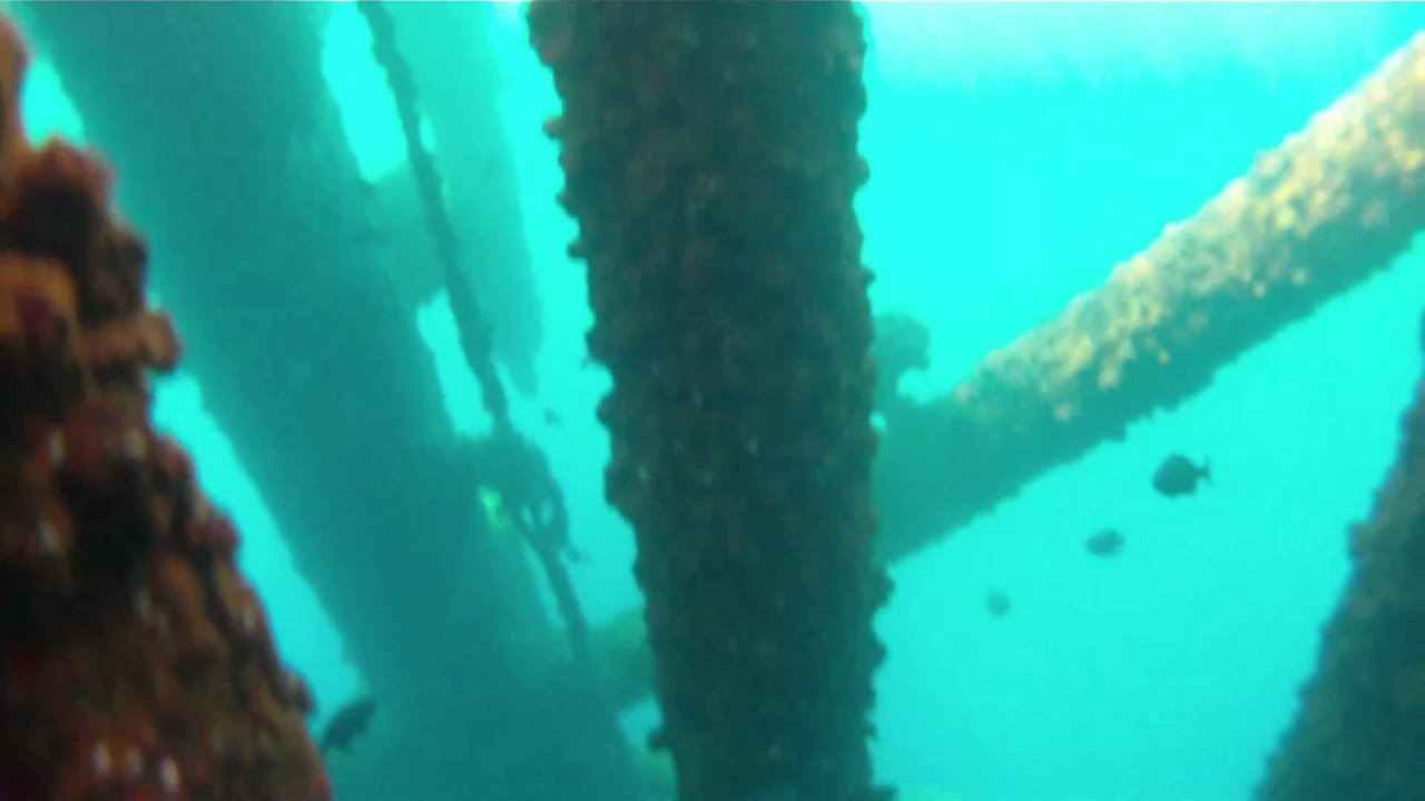 Free diving/spearfishing Rigs off of Port A. pt #2 - YouTube