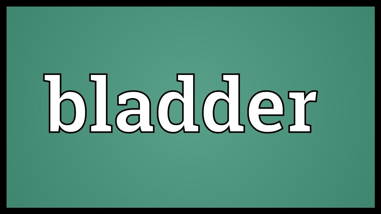 Bladder Meaning YouTube