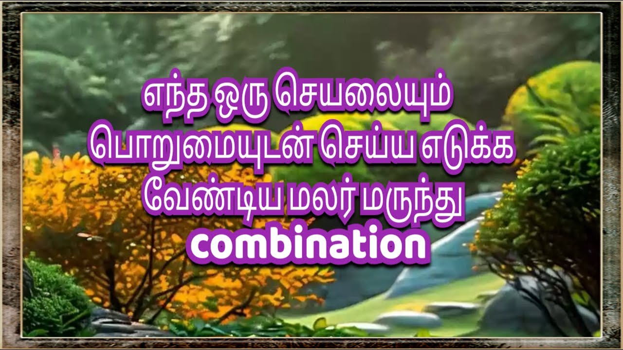 Dalir malar channel,flower medicine, Bach flower remedies, பொறுமைக்கான ...