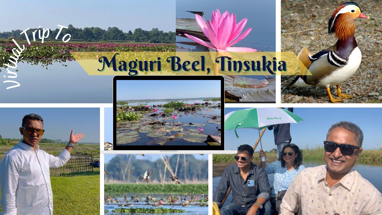 MUST VISIT PLACE IN ASSAM || Maguri Beel In Tinsukia, Assam ...