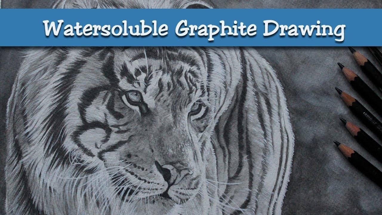 Sumptuous - Water Soluble Graphite Tiger Drawing Timelapse - YouTube
