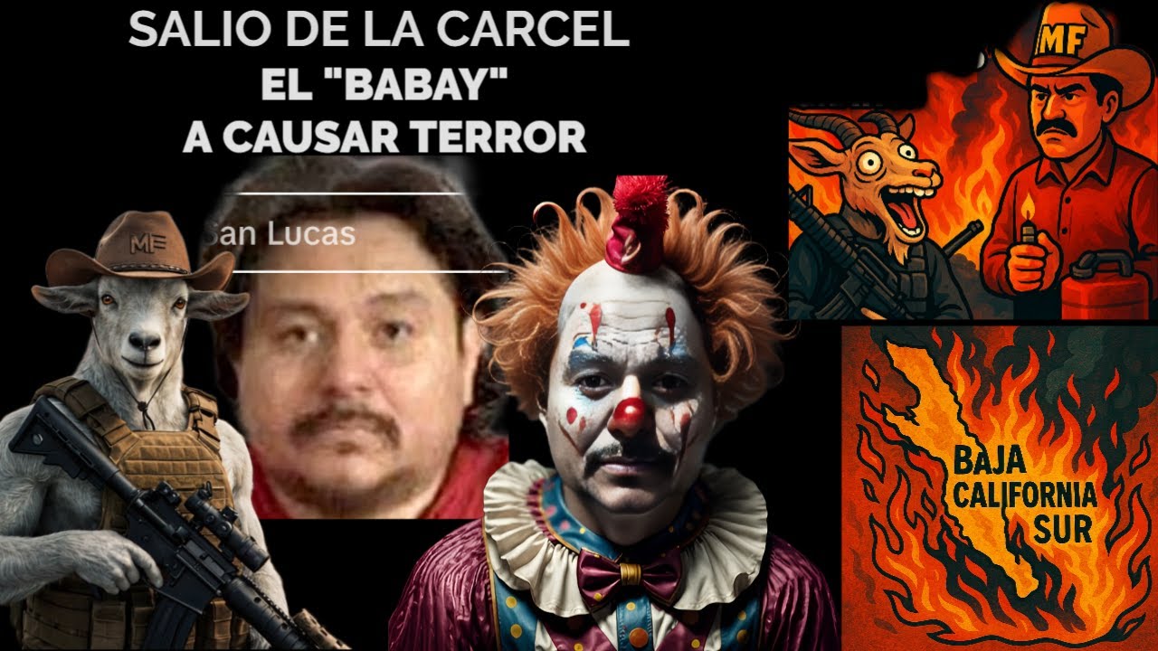 Salio de Prision y se Hizo Aliado de La Mayiza y empezo a Generar ...