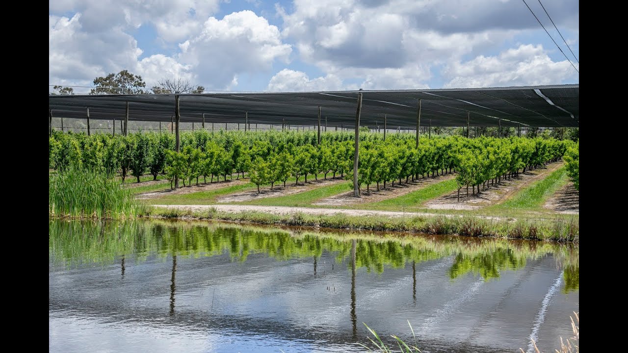 'Snowman Orchard', Applethorpe, Qld. - YouTube
