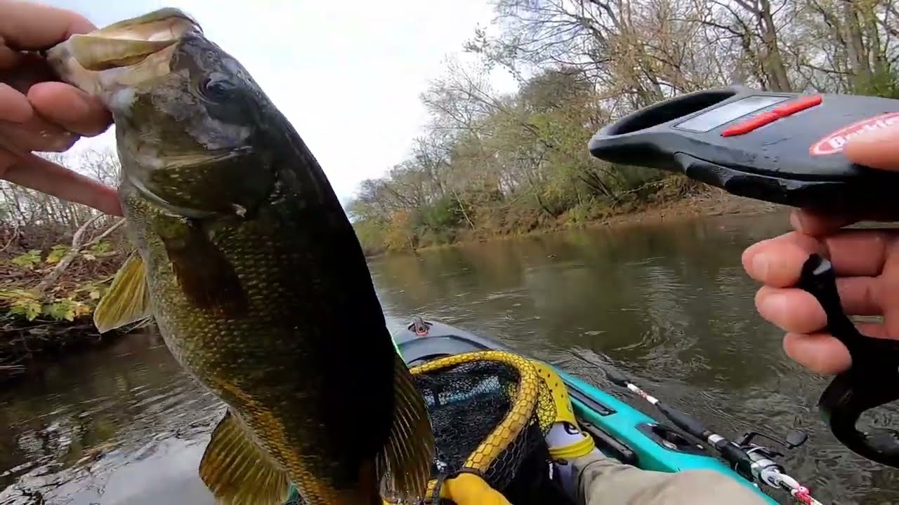 Trophy Perch, Big Bass Bag - YouTube