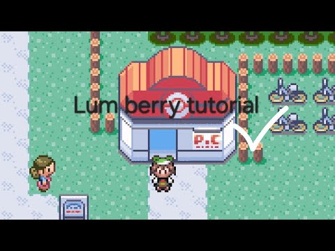 How to get lum berry emerald - YouTube
