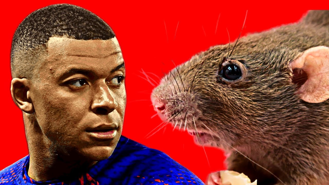 Kylian Mbappe is a RAT 🐀 - YouTube