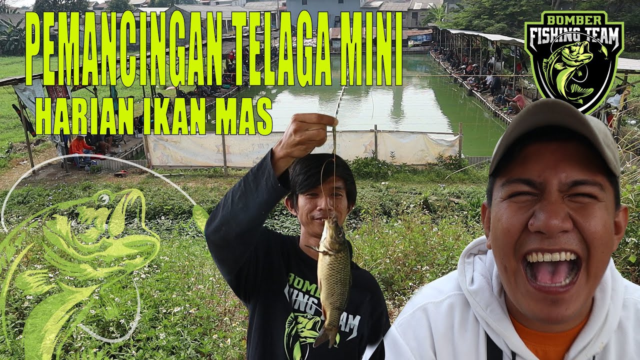 MANCING HARIAN IKAN MAS LAGI CING / PEMANCINGAN TALAGA MINI - YouTube