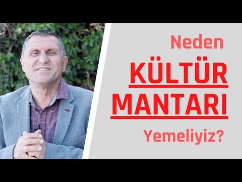KÜLTÜR MANTARI FAYDALARI I MANTARIN ÖZELLİKLERİ ve NASIL PİŞİRİLİR I BENEFITS OF CULTURE MUSHROOM
