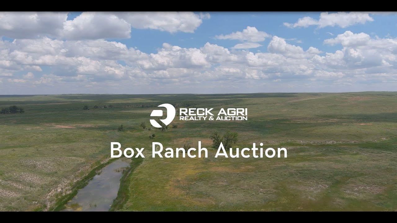 Box Ranch Auction - YouTube