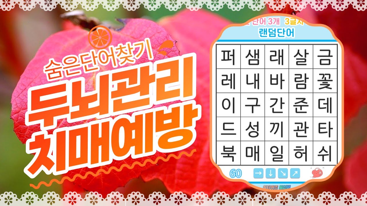 이 문제는 포기만 안해도 성공입니다 숨은단어찾기 치매예방 퀴즈 초성퀴즈 단어퀴즈 두뇌운동 뇌건강 치매테스트