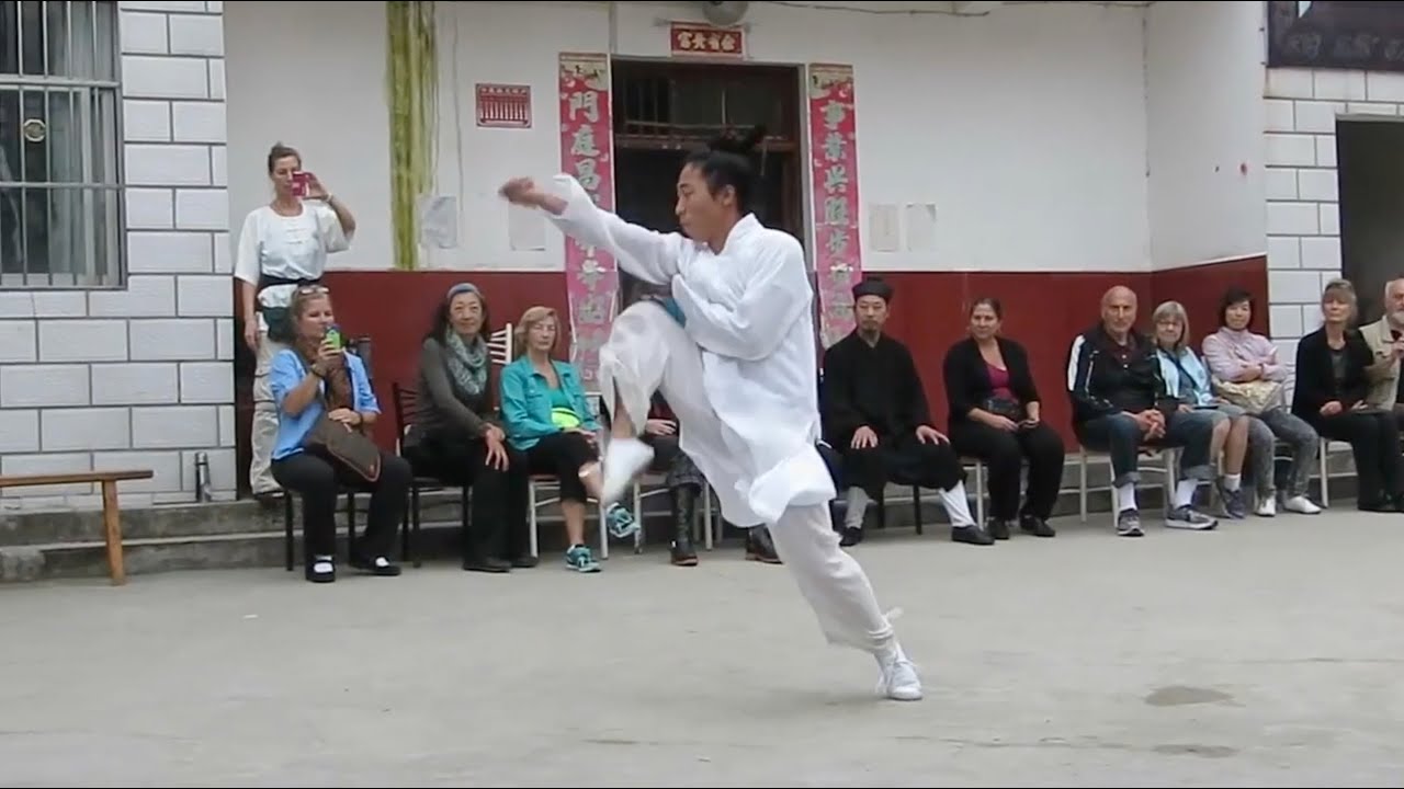 Wudang Long Hua Quan (full speed & slow motion) / Wudang Kung Fu ...