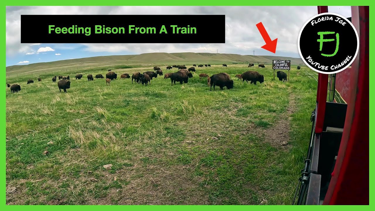 Exploring The Terry Bison Ranch By Train - YouTube