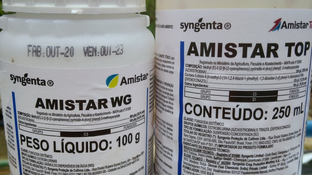 AMISTAR TOP OU AMISTAR WG? QUAL A DIFERENÇA? QUAL USAR? - YouTube