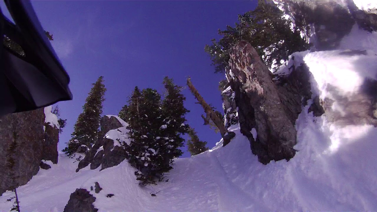 Dead Tree Chute - YouTube