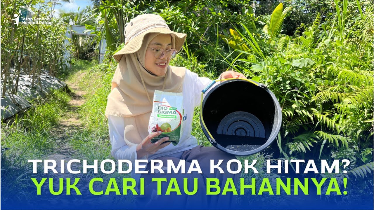 Bahan Pembawa Trichoderma pada Bio Sigma Plus | Penentu Kualitas Produk ...