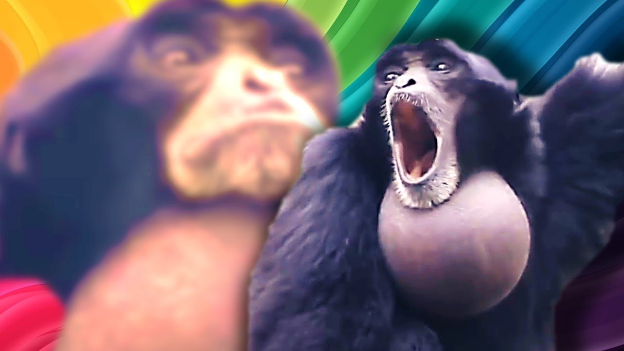 Screaming Gibbon x1000000 speed - YouTube