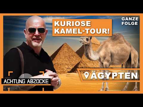Kamel-Mafia & Fake-Papyrus: Peter Giesel deckt Betrug in Ägypten auf | Achtung Abzocke | Ganze Folge