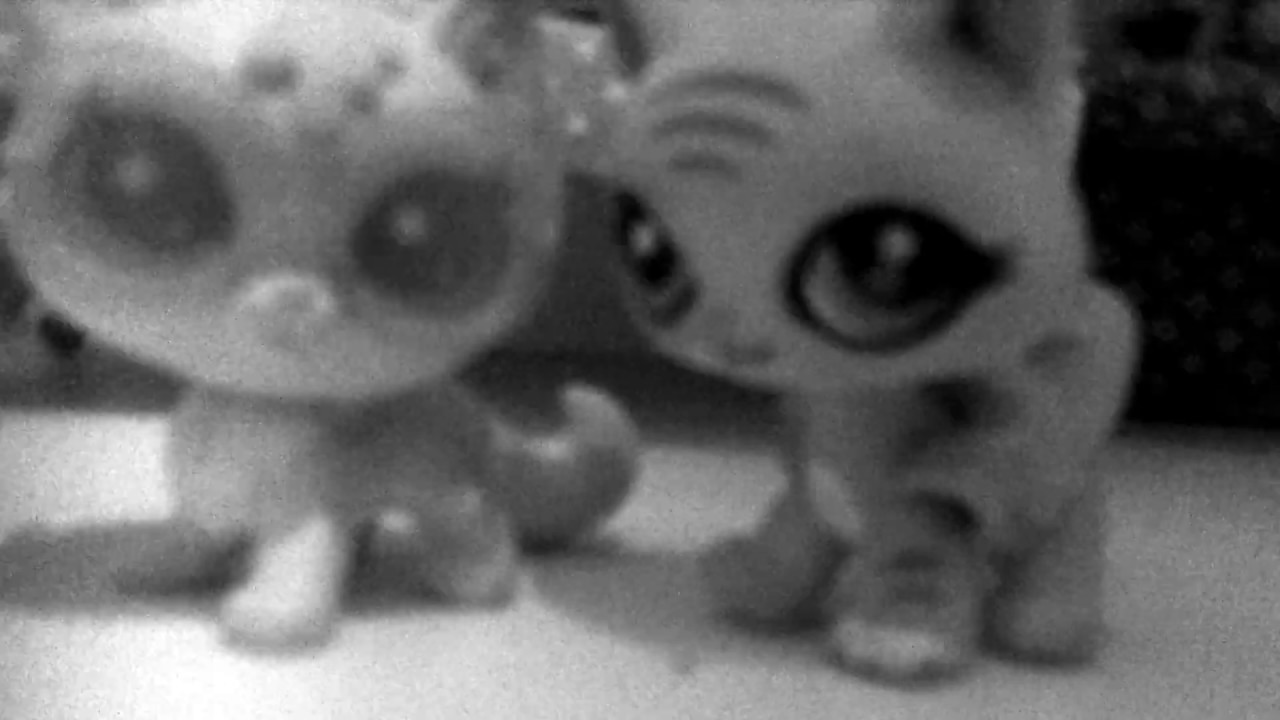 Клип: моя мелодия для Nastya cat - YouTube