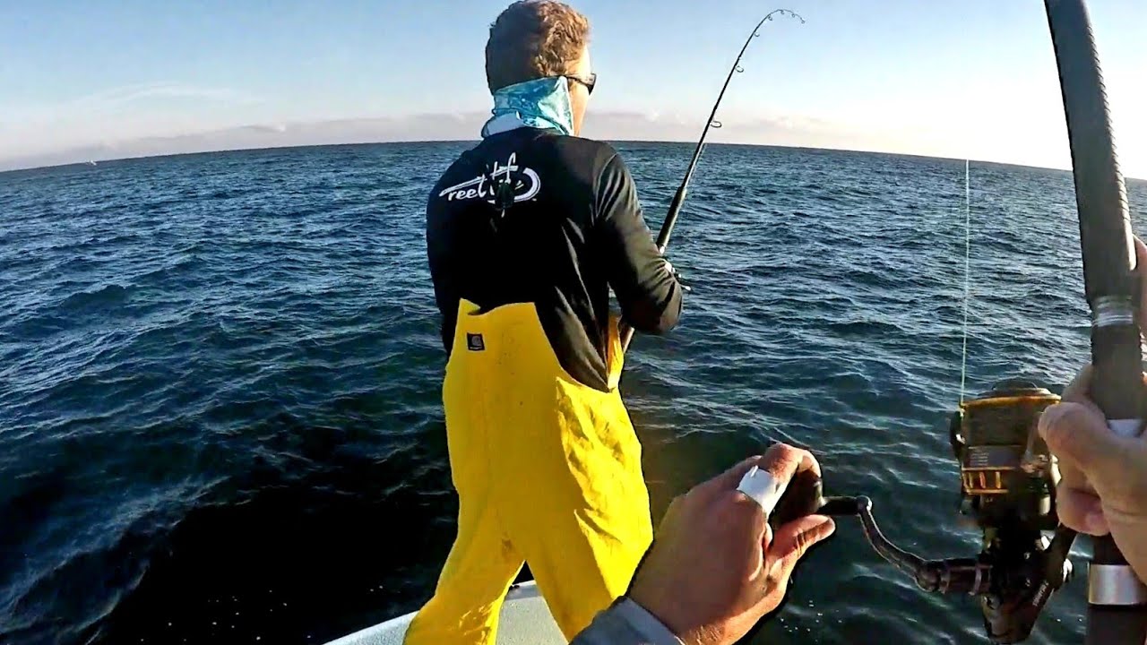 Feeding Frenzy = Great Fishing - YouTube
