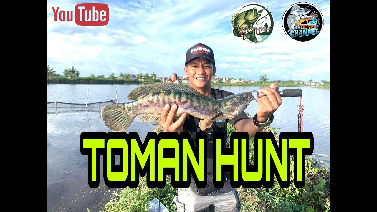 TOMAN FISH PHILIPPINES | FIRST TIME MAKAHULI - YouTube