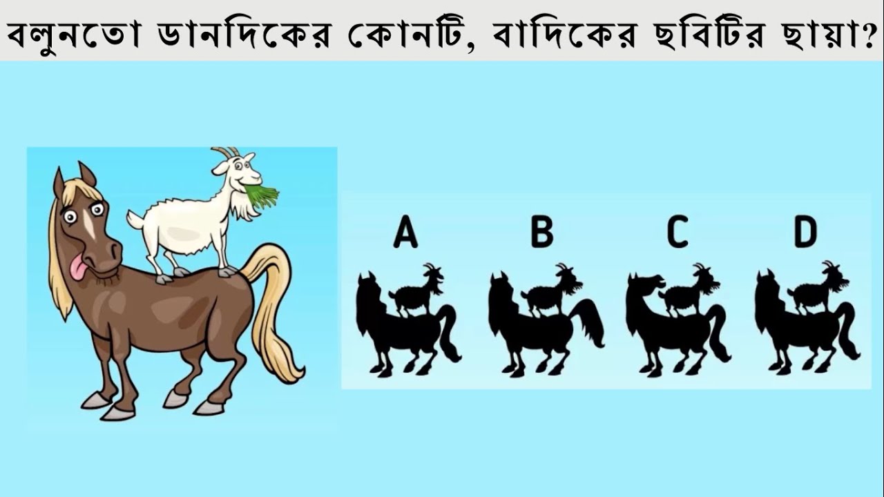 কঠিন বাংলা ধাঁধা (পর্ব ৭) | Hard riddles in Bengali | Bangla Dhadha ...