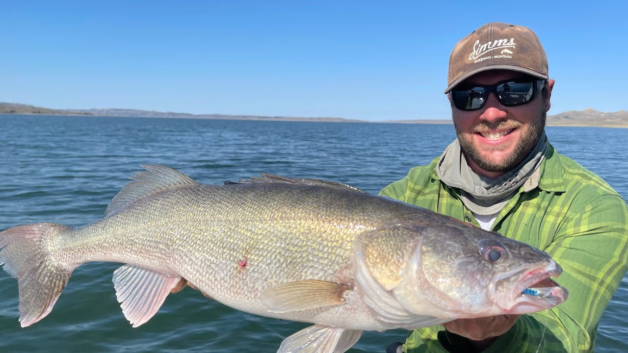 11.35 lb Jigging Rap Walleye (Fishcast to Catch) - YouTube
