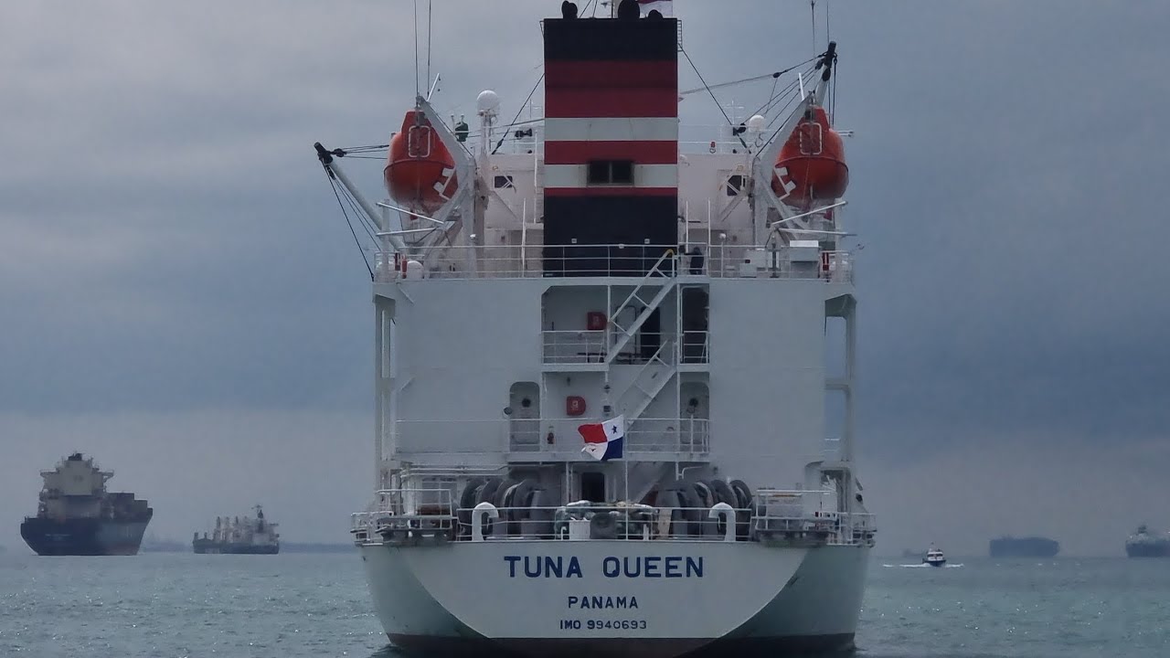 SHIPSPOTTING FISHING CARGO REEFER VESSEL - YouTube