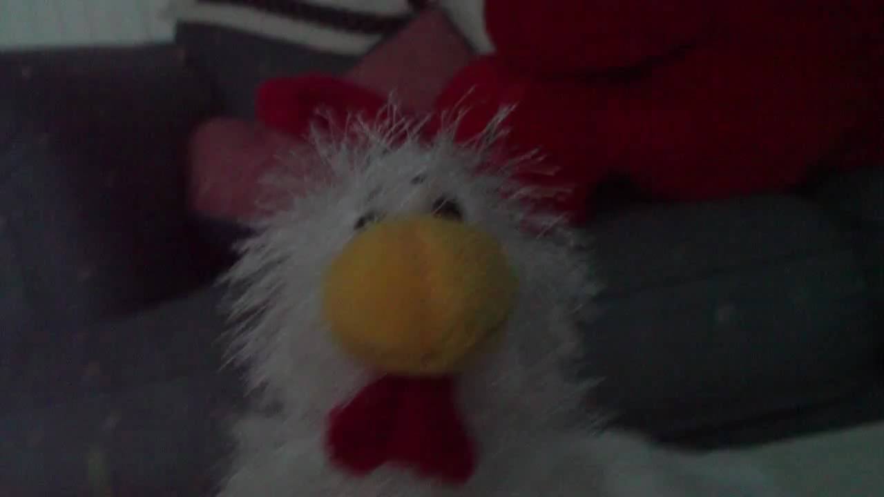 webkinz chicken dance - YouTube