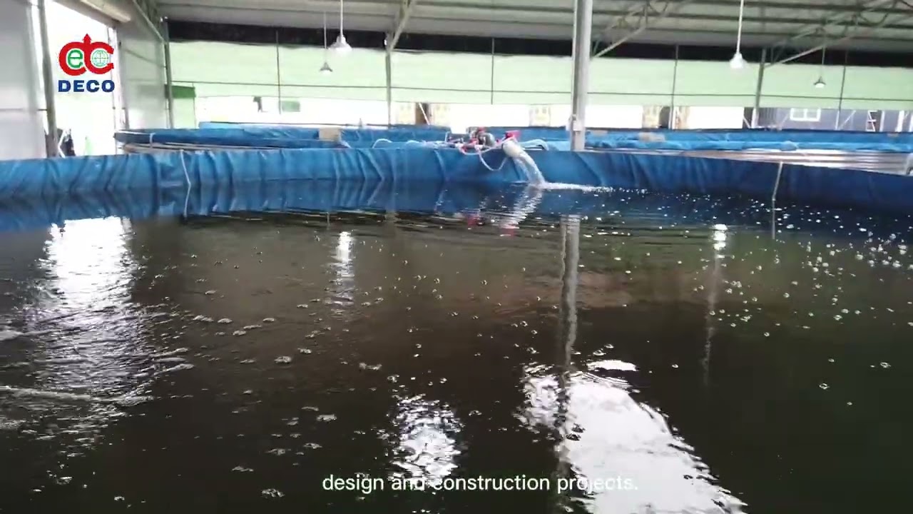 Closed Recirculating Aquaculture System - YouTube