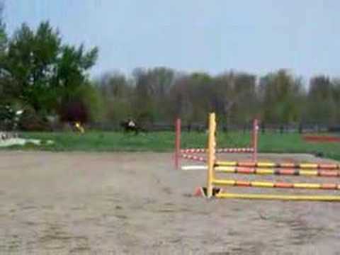 Mule Jumping BN - YouTube
