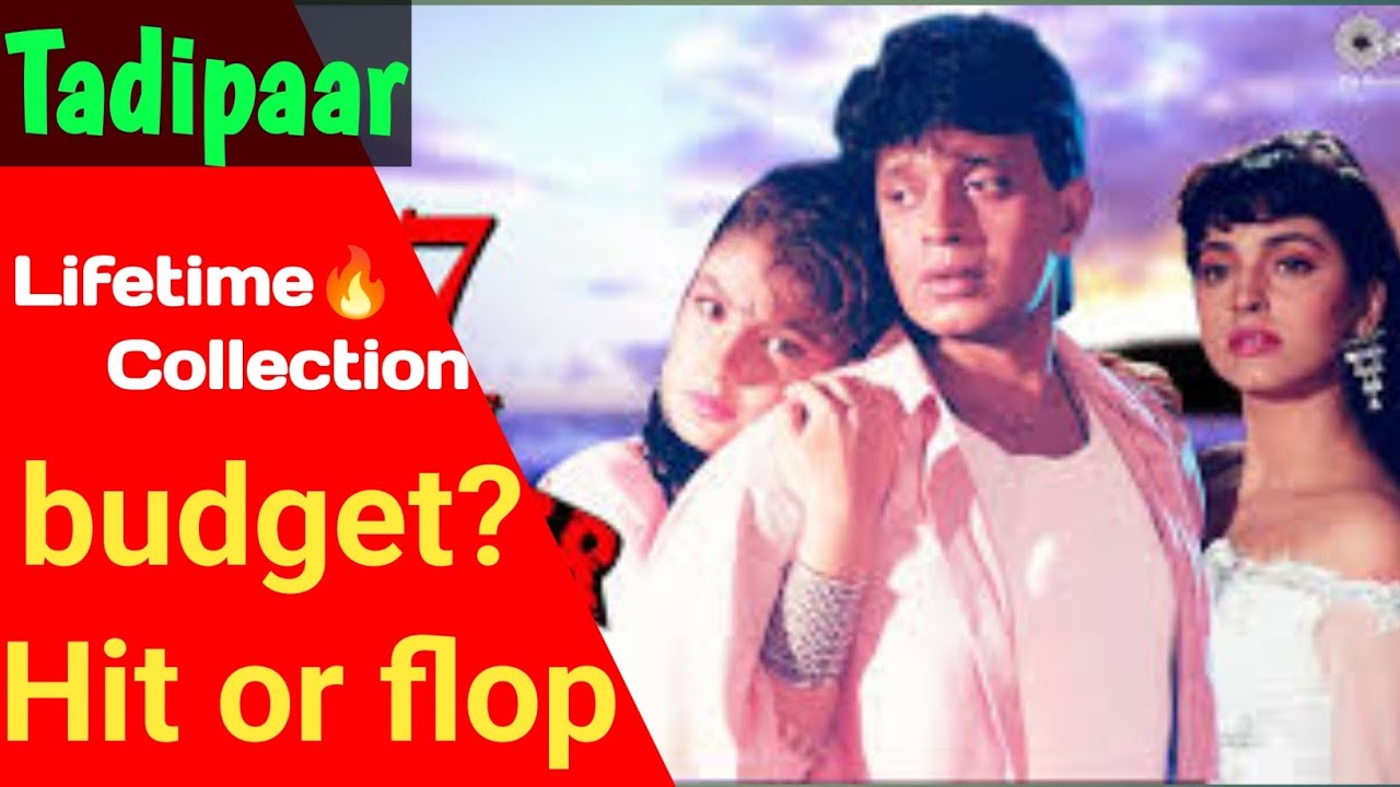tadipaar movie 1993 box office collection || hit or flop budget and ...