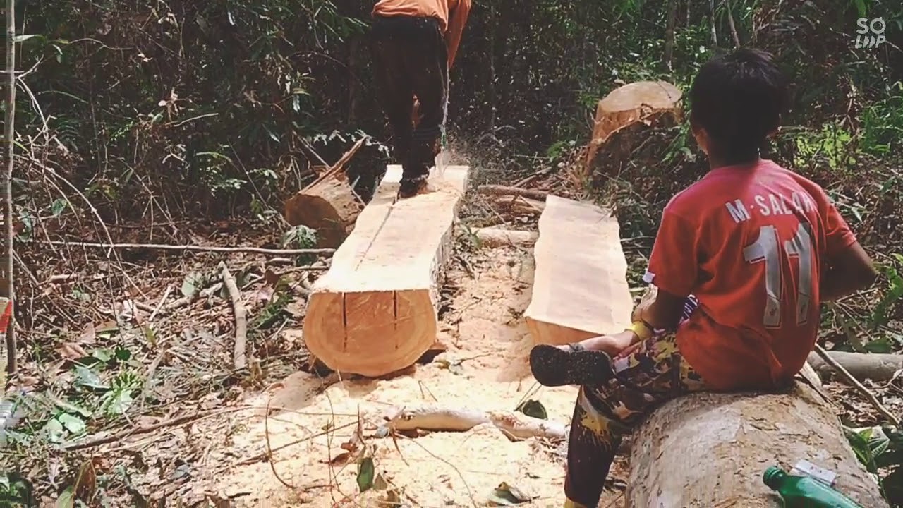 Pembuatan papan kayu Resak - YouTube